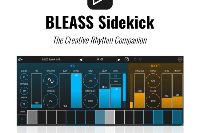 BLEASS Sidekick | BLEASS